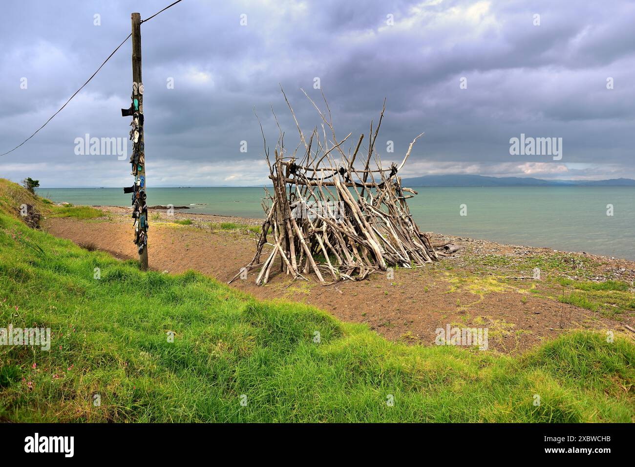 Natural tree shetler built at high tide Stock Photo - Alamy
