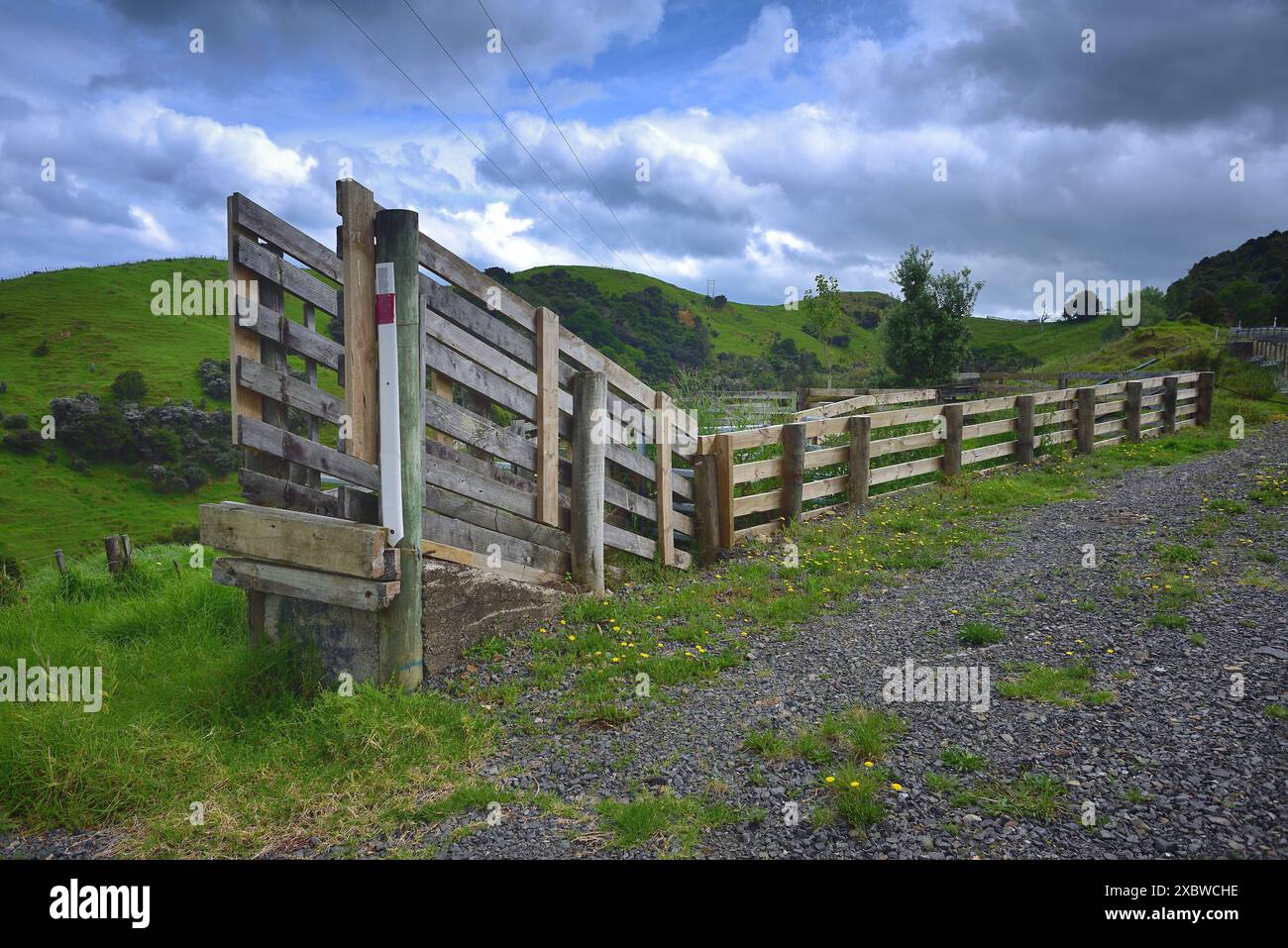 Farmers loading and unloading ramp for the sheep on teh roadside Stock ...