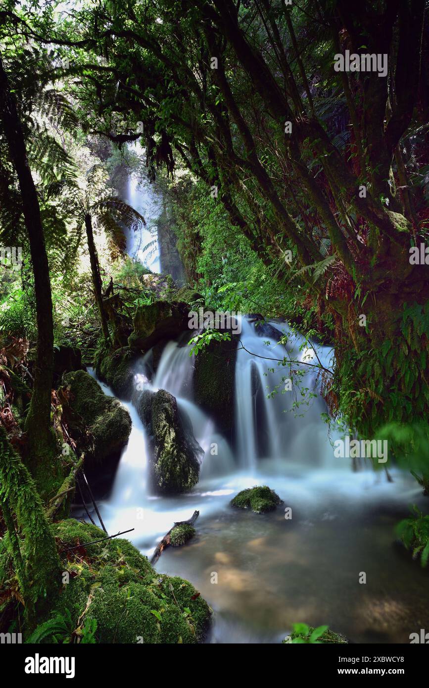 The waterfall of the Buried village of Te Wairoa Stock Photo - Alamy