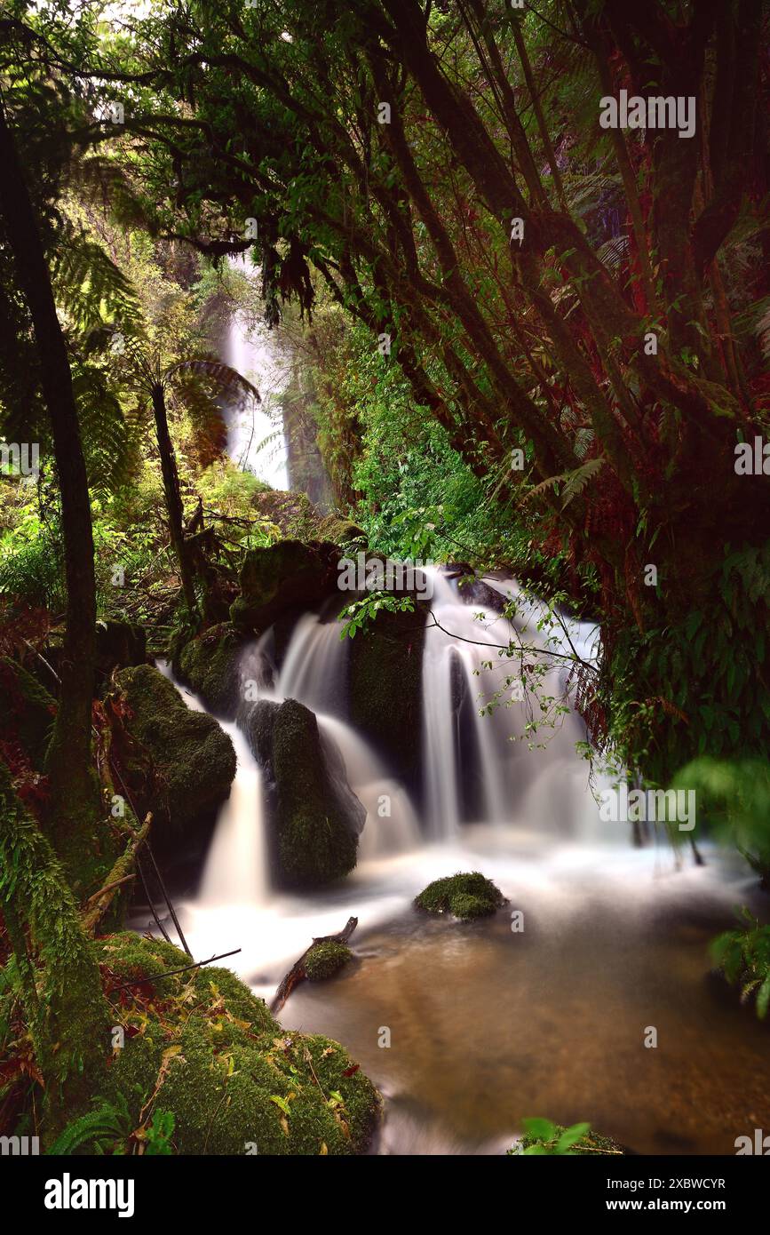 Te wairoa waterfall te wairoa waterfall hi-res stock photography and ...