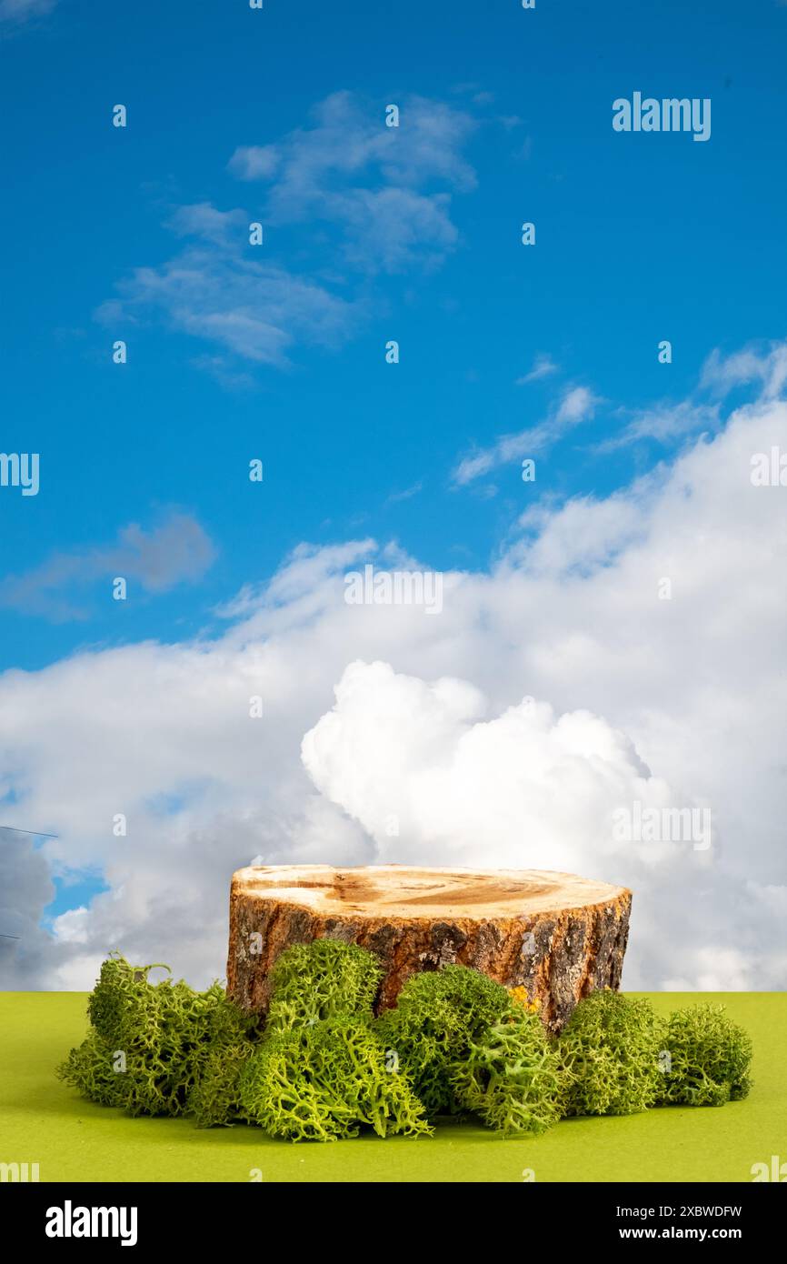natural style. Wooden saw cut, round podium with green moss on a blue ...