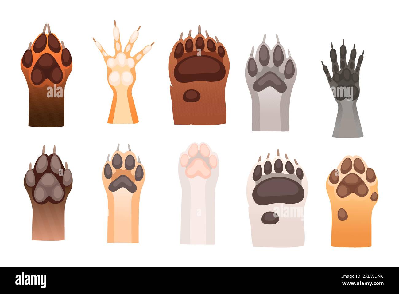 Set of different animal paw fox bear rabbit wolf and others simple ...