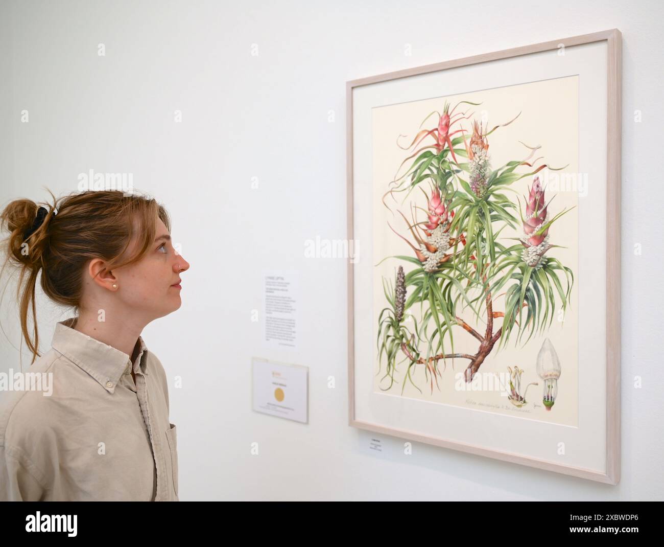 World-class photography and art are brought together in one fabulous RHS Show at the Saatchi ...