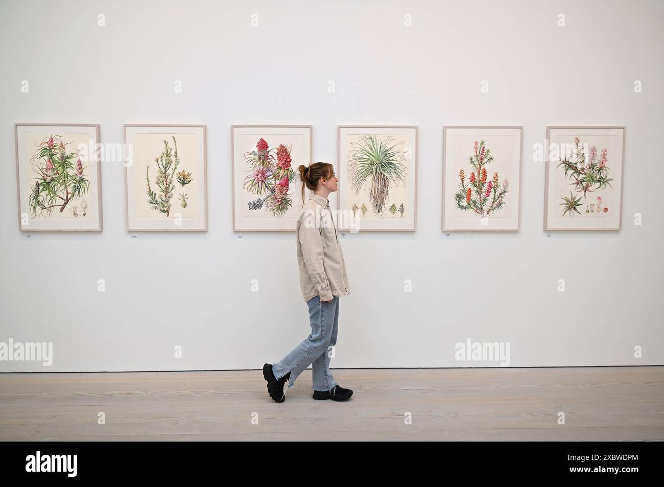 World-class photography and art are brought together in one fabulous RHS Show at the Saatchi ...