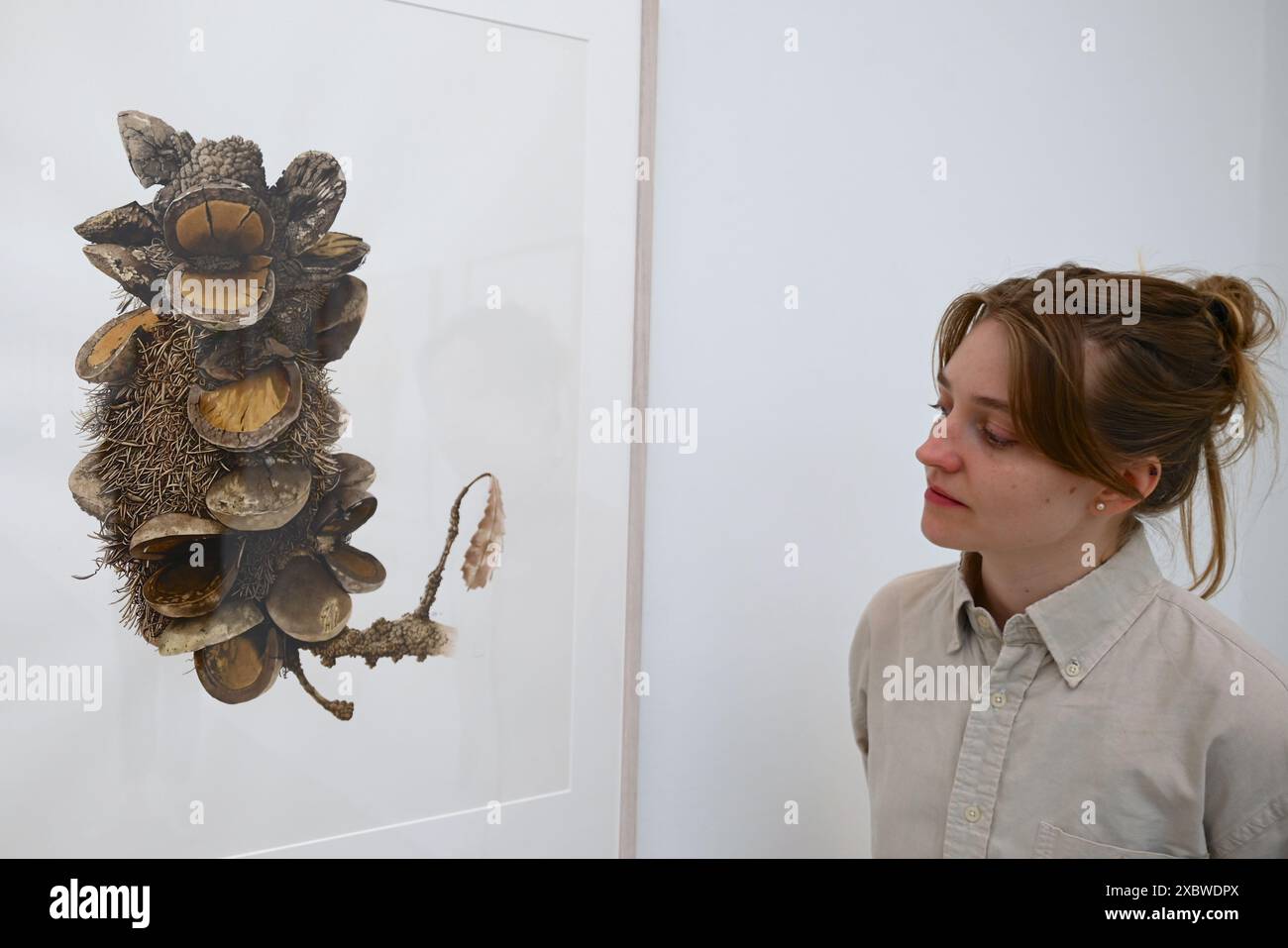 World-class photography and art are brought together in one fabulous RHS Show at the Saatchi ...