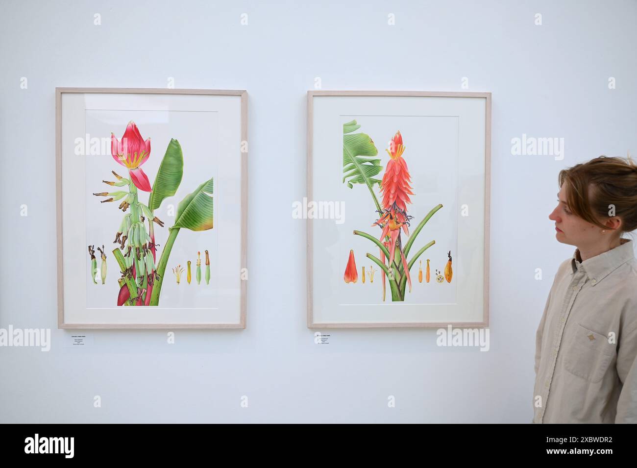 World-class photography and art are brought together in one fabulous ...