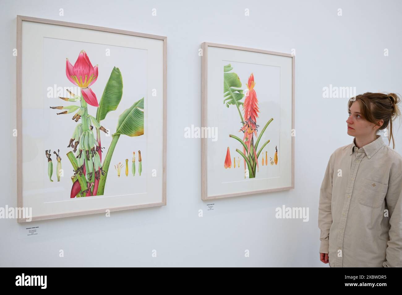 World-class photography and art are brought together in one fabulous RHS Show at the Saatchi ...