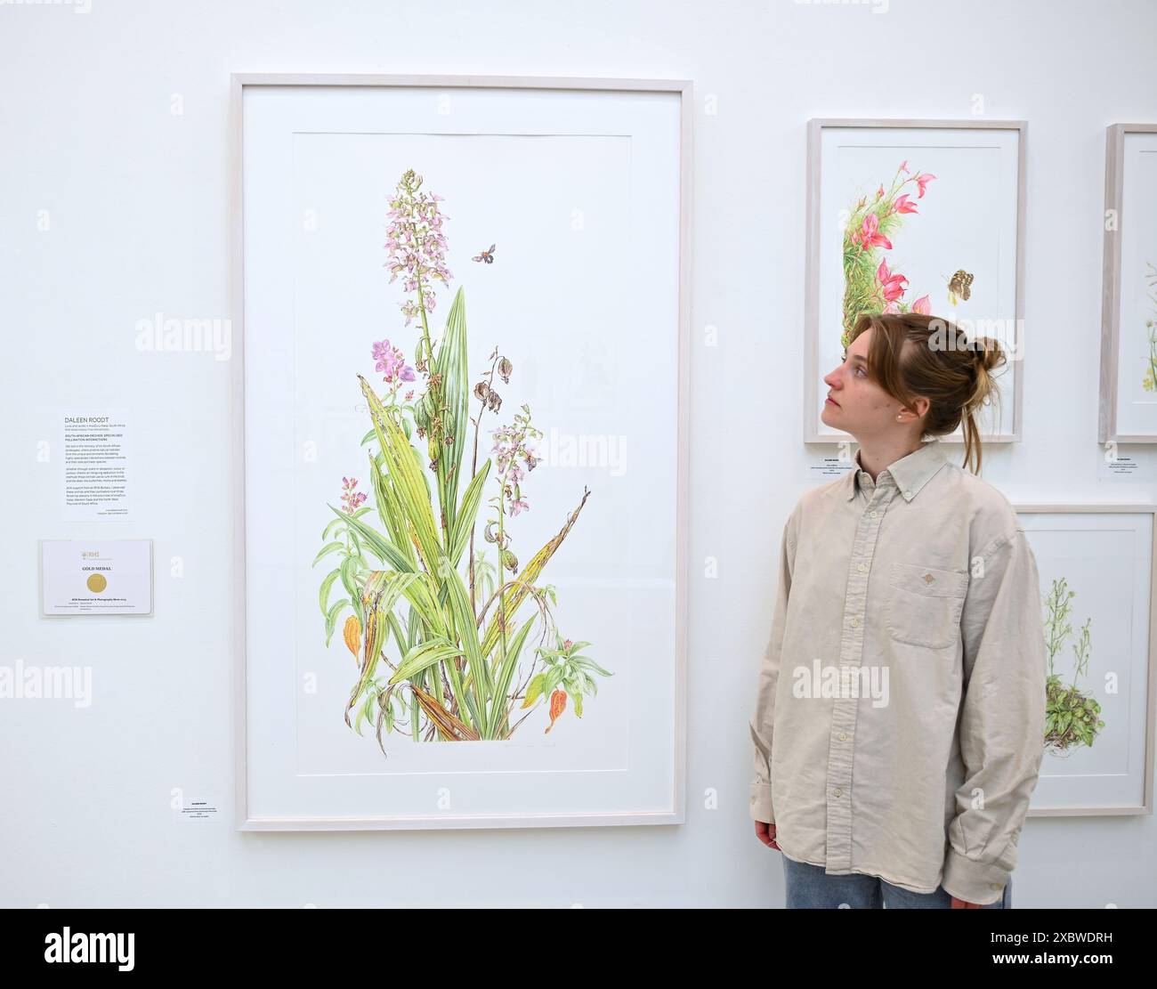 World-class photography and art are brought together in one fabulous RHS Show at the Saatchi ...