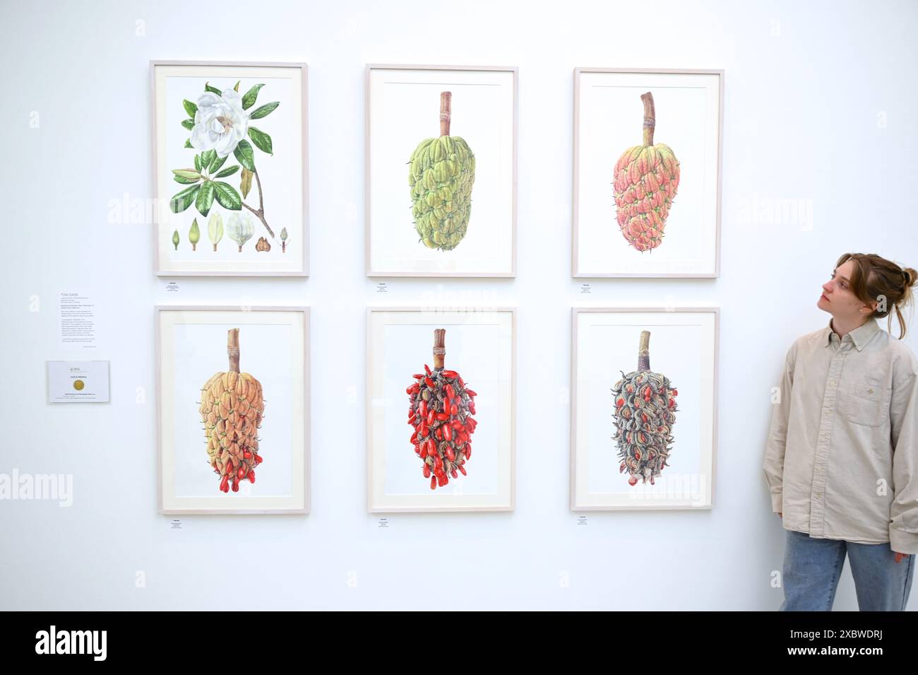 World-class photography and art are brought together in one fabulous RHS Show at the Saatchi ...