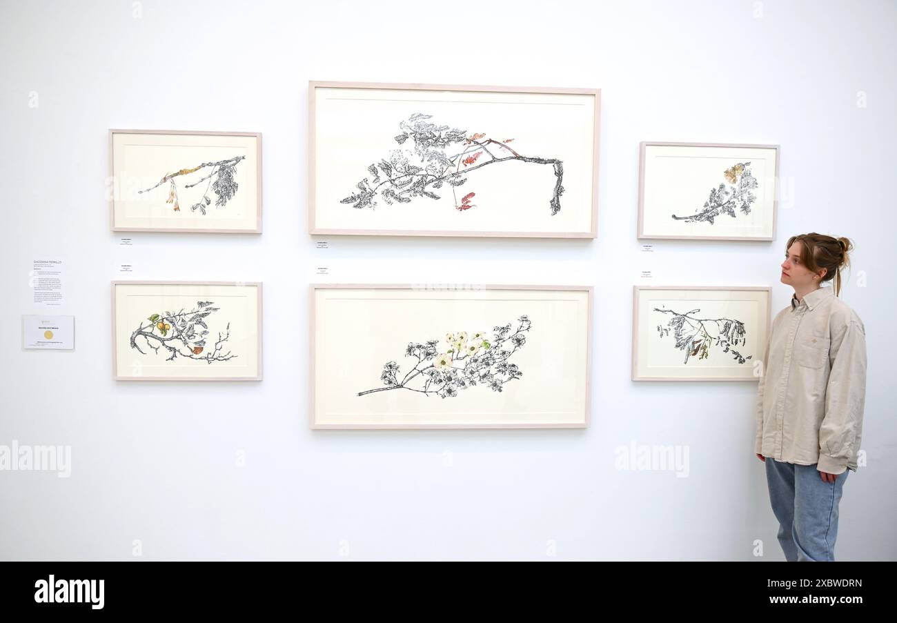 World-class photography and art are brought together in one fabulous RHS Show at the Saatchi ...