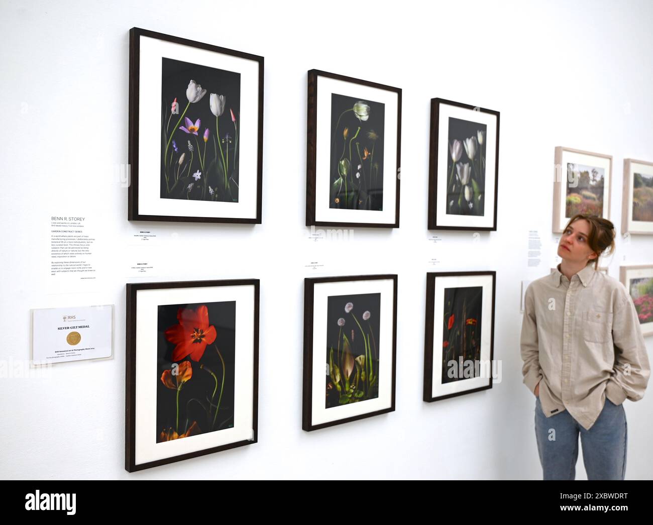 World-class photography and art are brought together in one fabulous RHS Show at the Saatchi ...