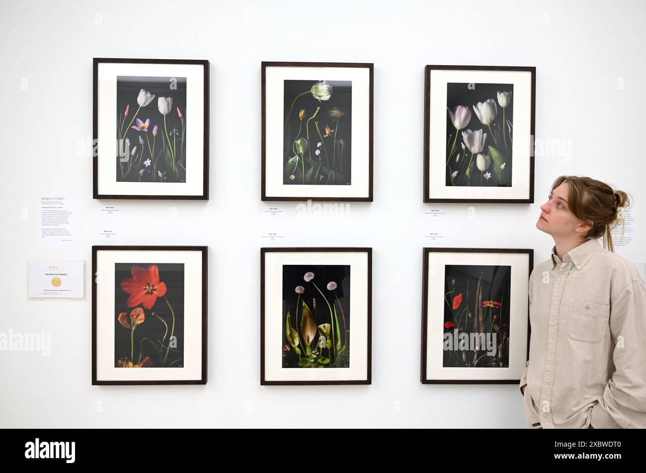 World-class photography and art are brought together in one fabulous RHS Show at the Saatchi ...