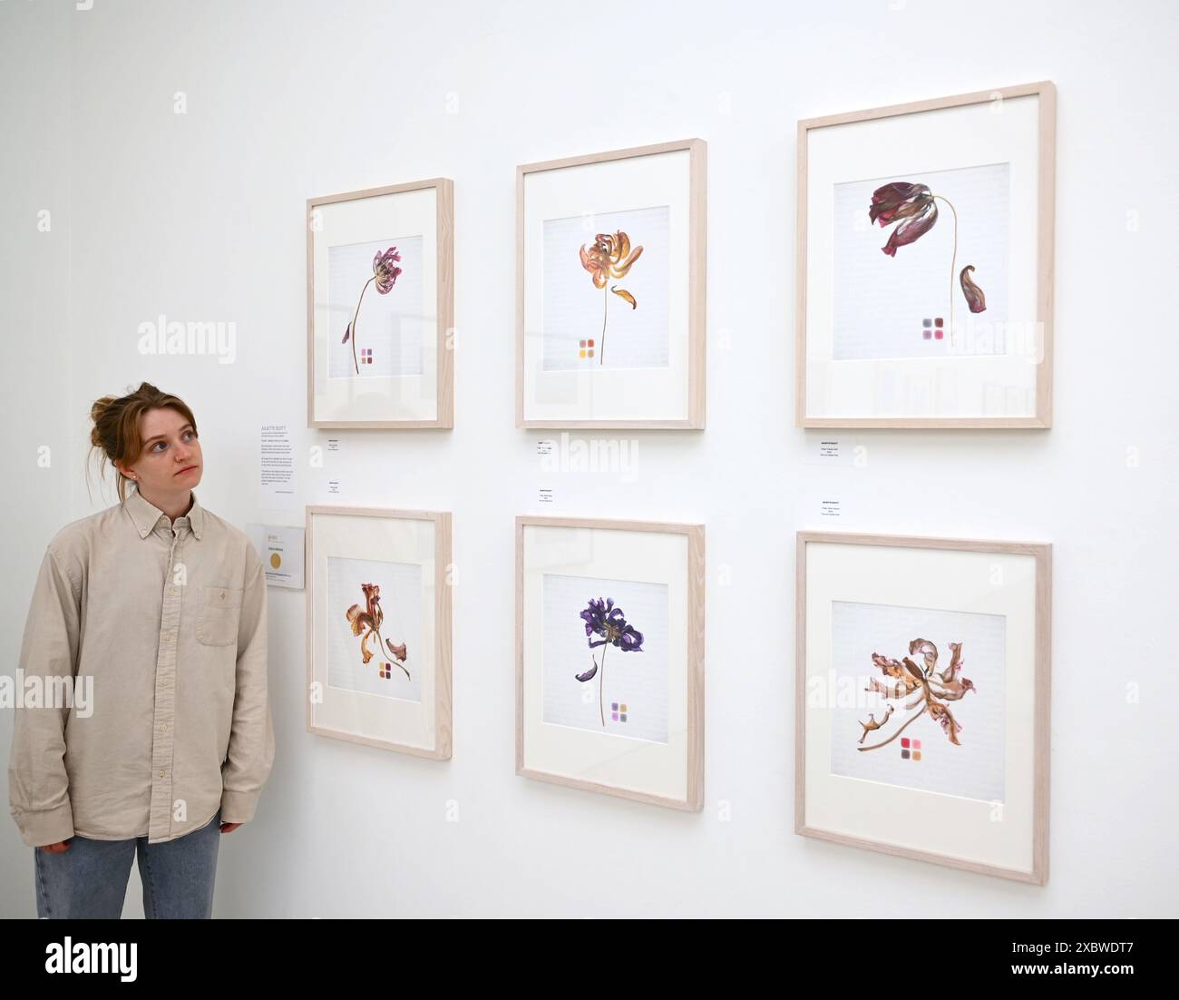 World-class photography and art are brought together in one fabulous RHS Show at the Saatchi ...