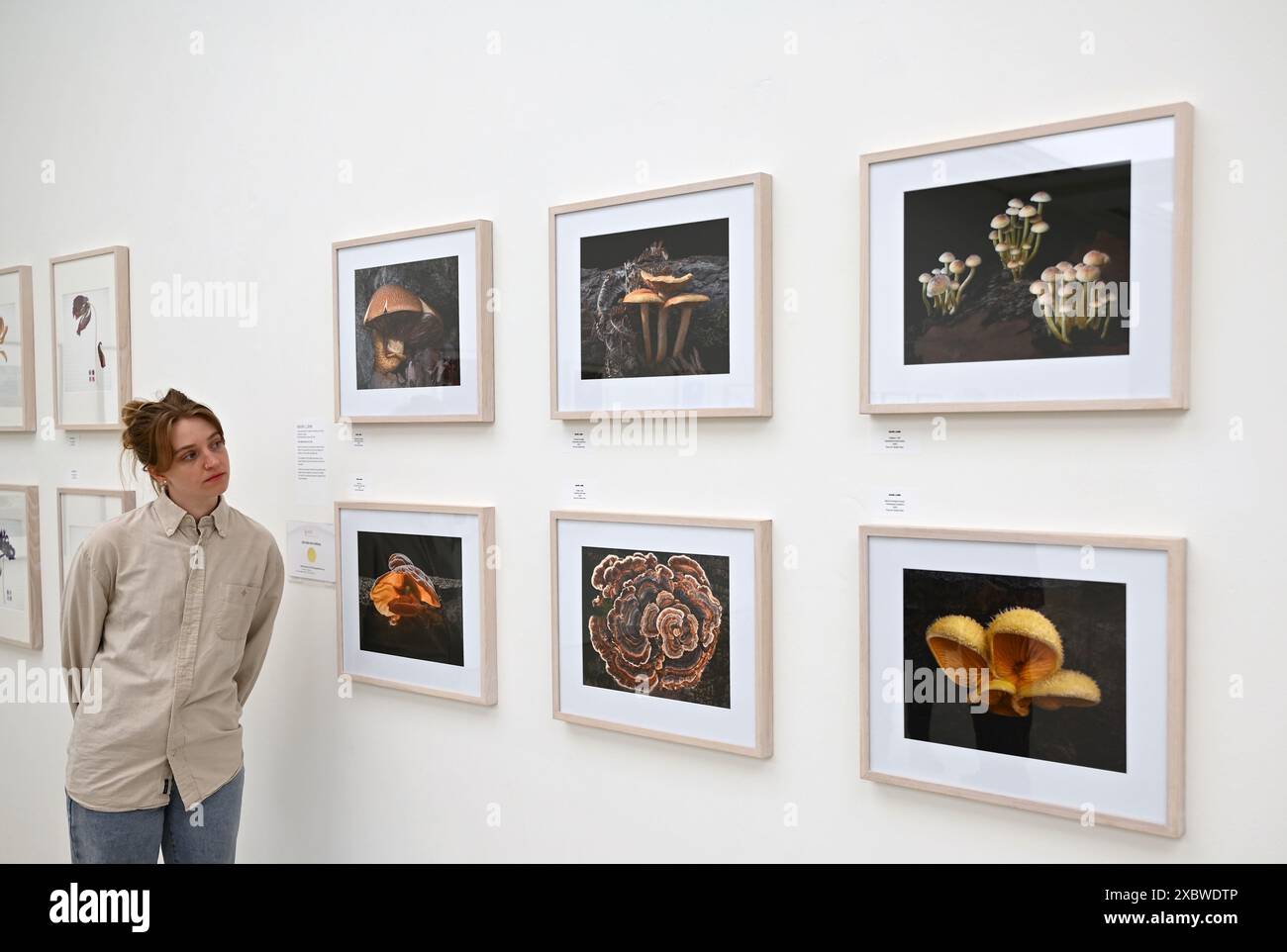 World-class photography and art are brought together in one fabulous RHS Show at the Saatchi ...