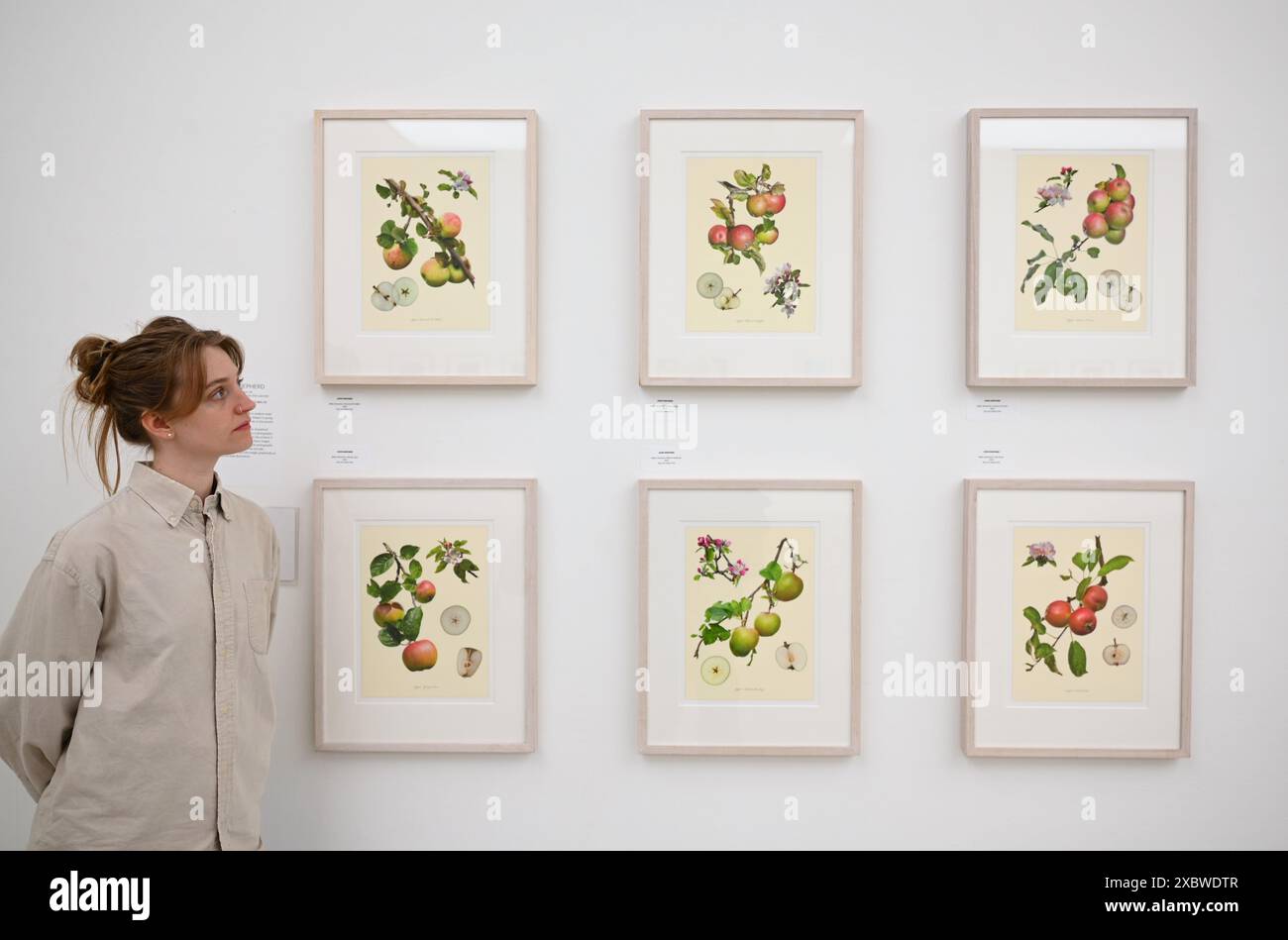 World-class photography and art are brought together in one fabulous RHS Show at the Saatchi ...