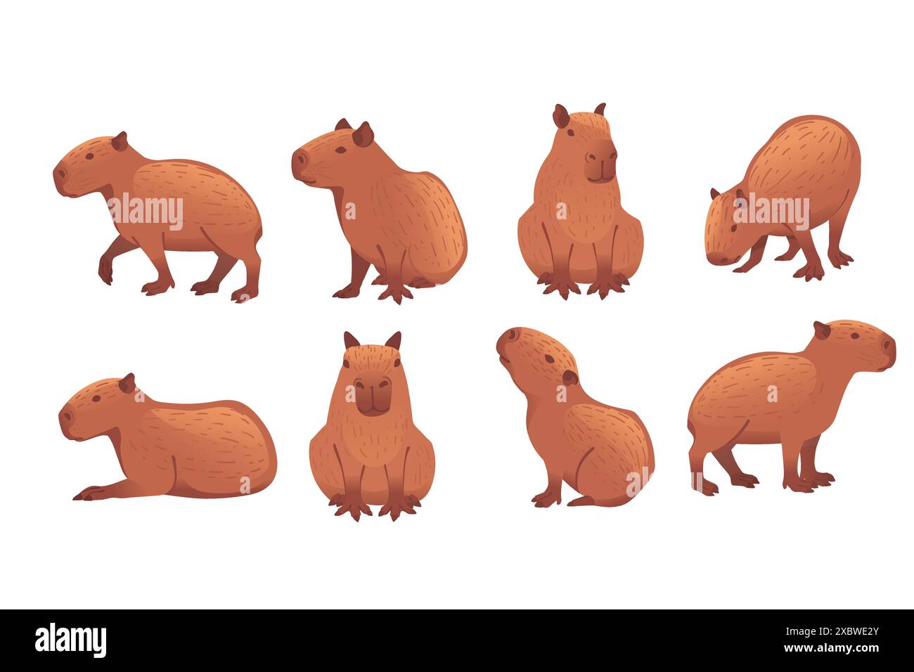 Set of Big mammal cute capybara cartoon animal design vector illustration isolated on white ...