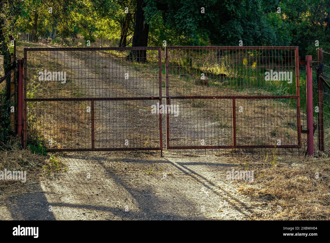 Gate of a farm in the countryside in Sierra Madrona, Fuencaliente ...