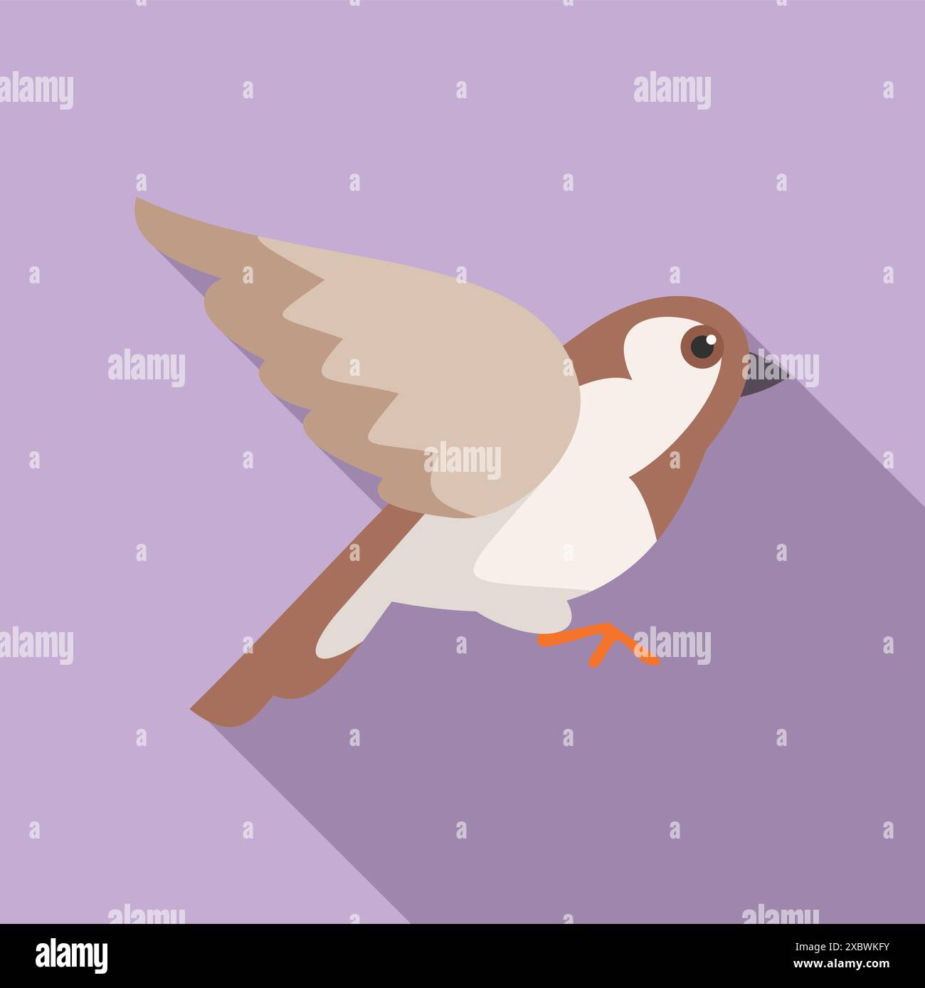Flight flying flap wings wildlife Stock Vector Images - Alamy