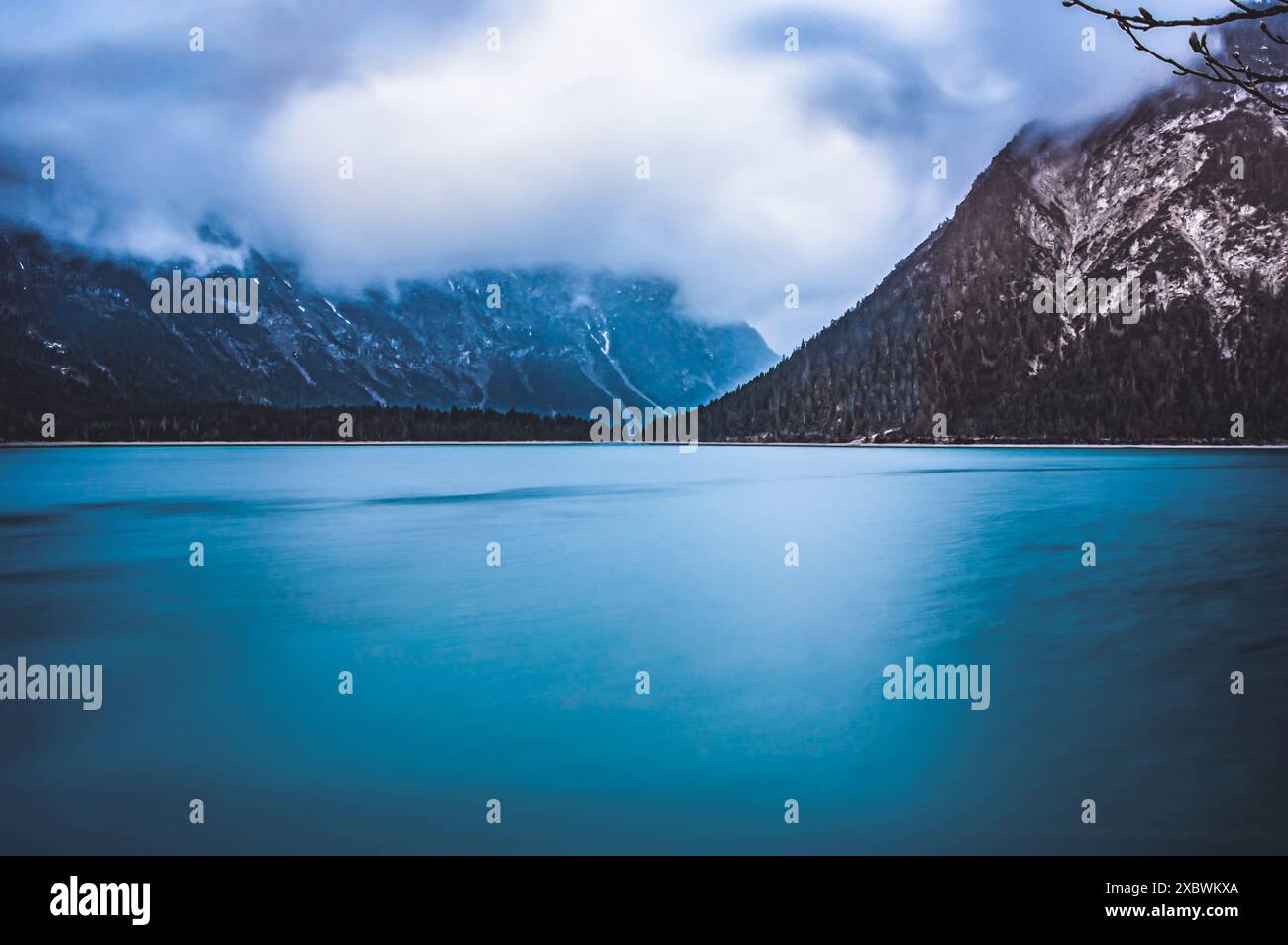 landscape, nature, fog, lake, trees, forest, mountain, thriller, crime ...