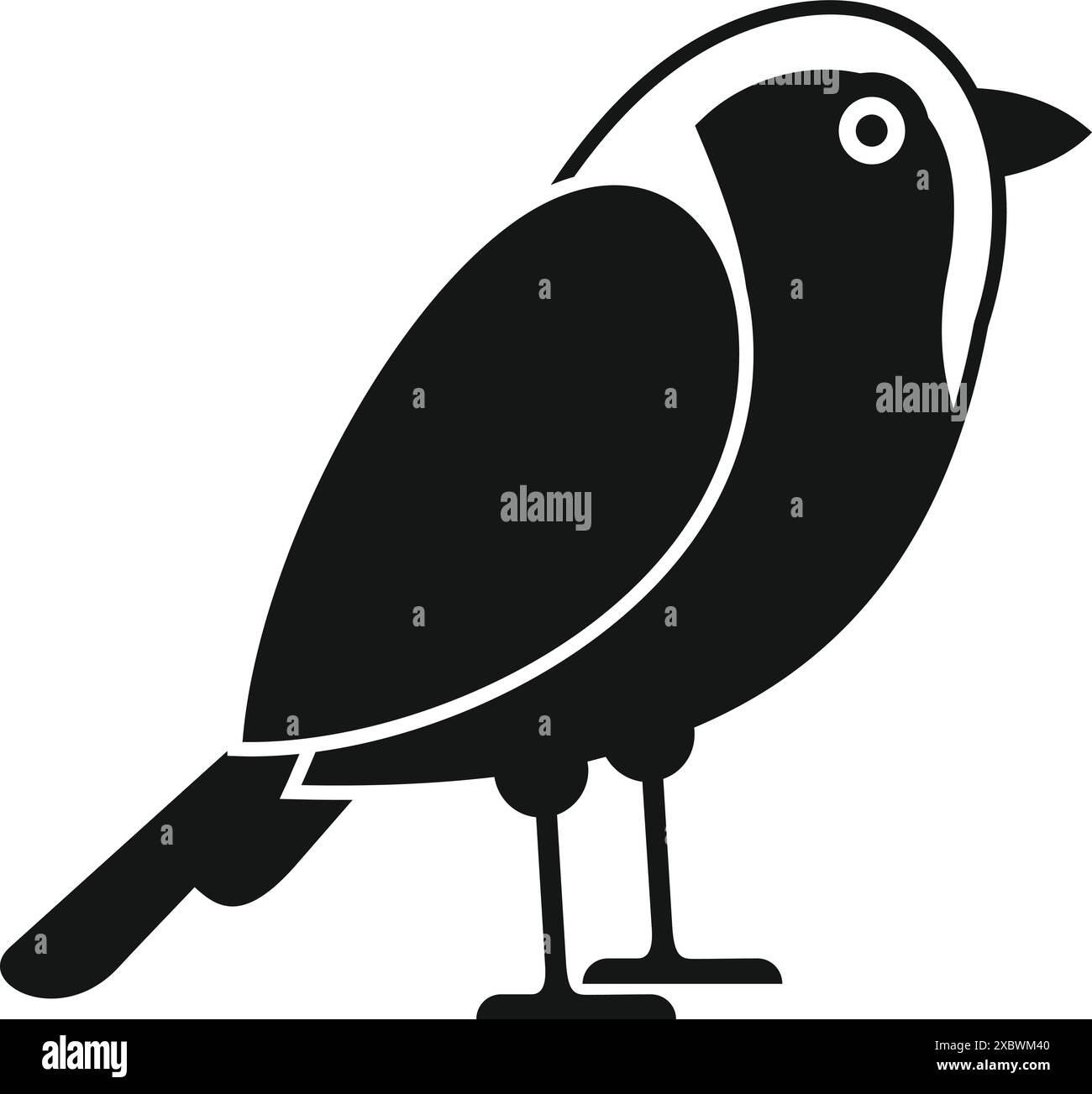 Simple style black and white bird standing watching and looking forward ...