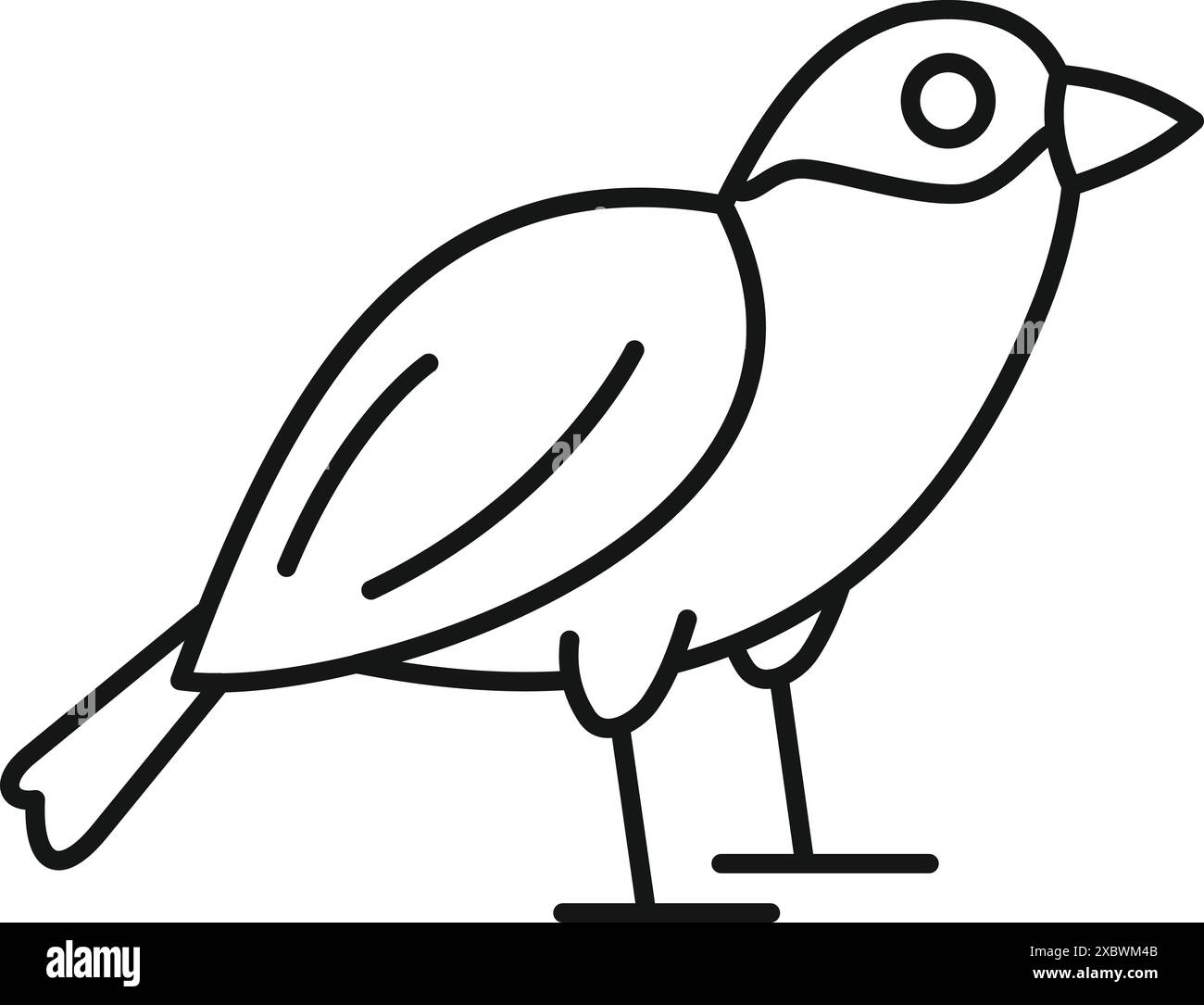 Simple line drawing of a little bird standing, minimalist cartoon ...