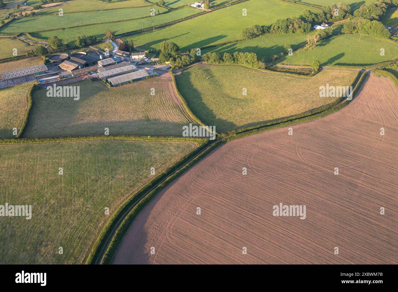 Aerial view of newly planted maize field on intensive dairy farm ...