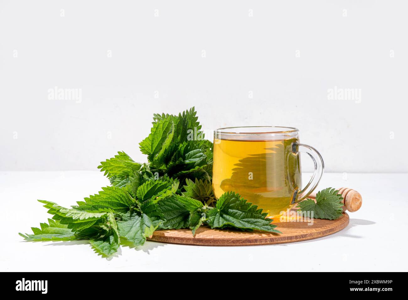Nettle Tea hot plant drink in transparent glass cup. Organic natural ...