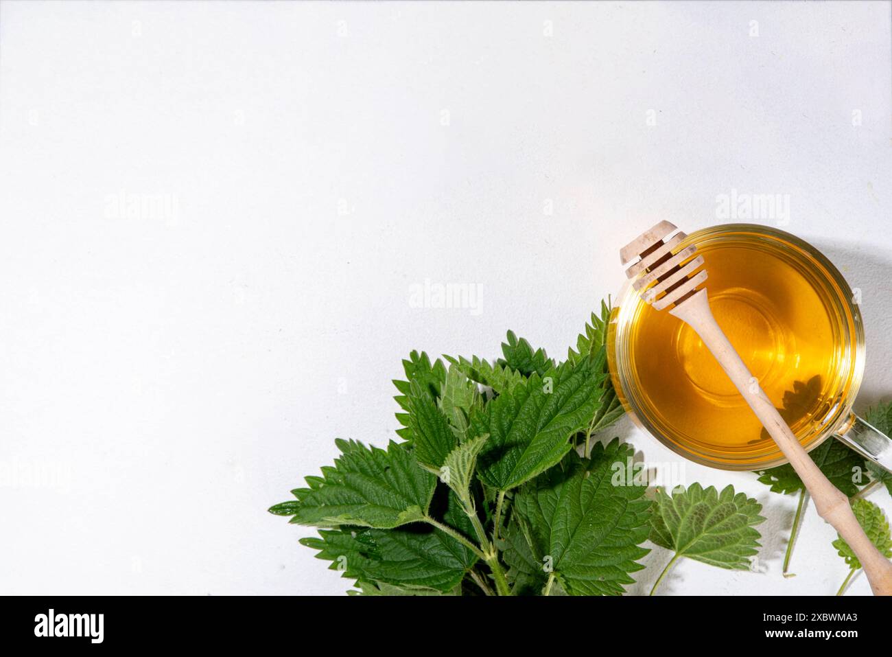 Nettle Tea hot plant drink in transparent glass cup. Organic natural ...