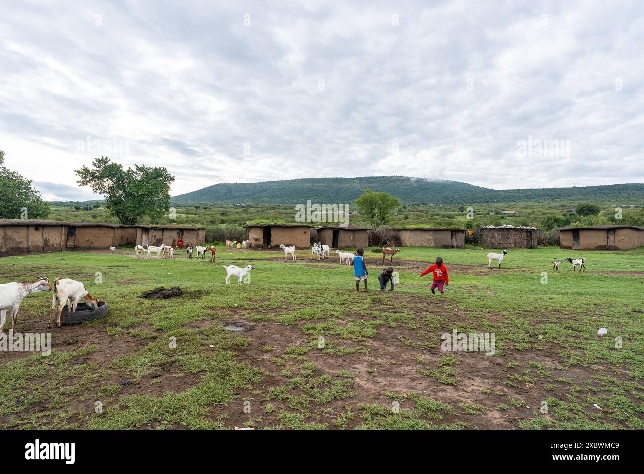 Traditional Kenyan Maasai Village with mud and clay huts Stock Photo ...
