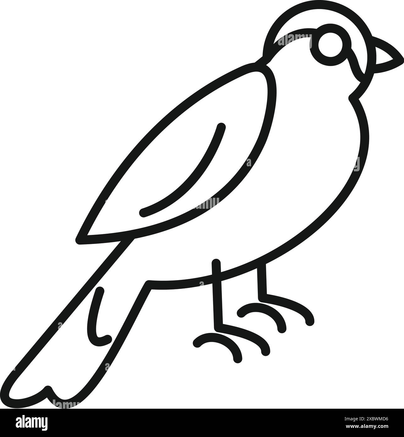Line drawing of a small bird with short beak standing on the ground ...