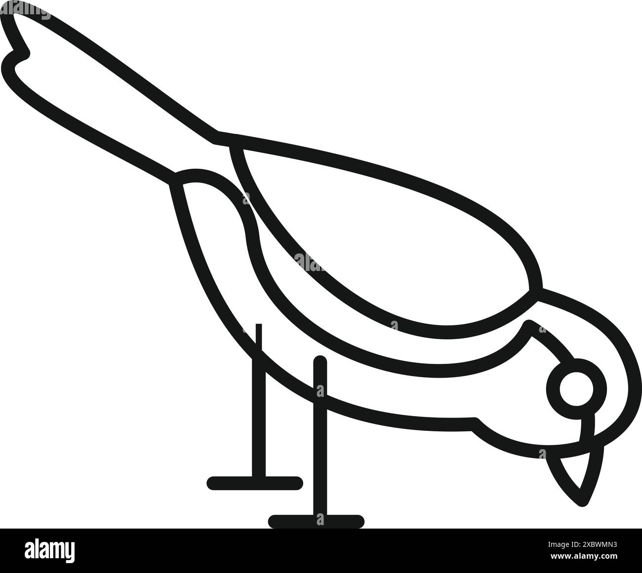 Ground flight line Black and White Stock Photos & Images - Alamy