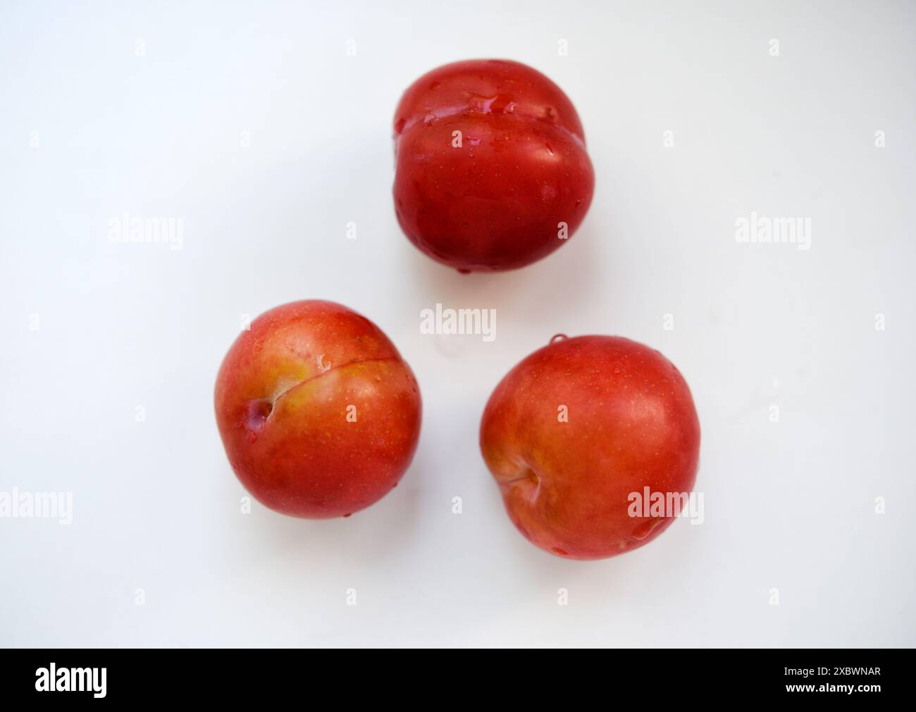 Red plums on a white background. Plums on a plate. Washed fruits Stock ...