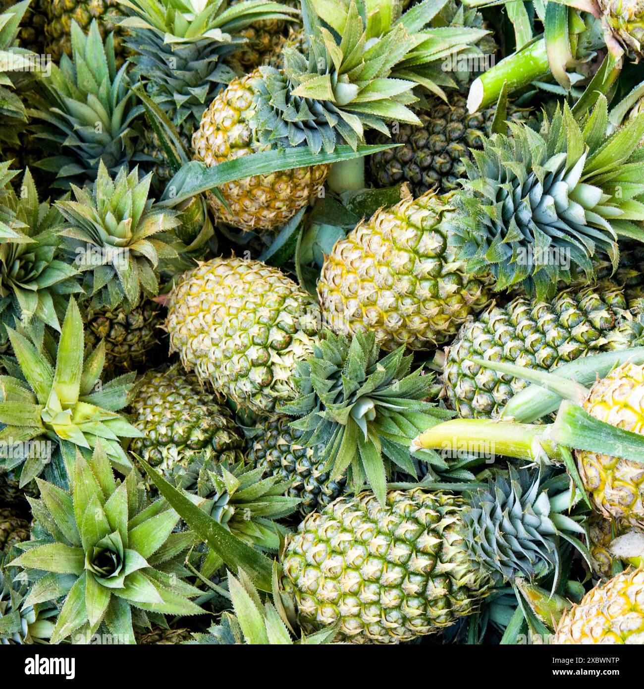 Pineapple Fruit background and texture Stock Photo - Alamy
