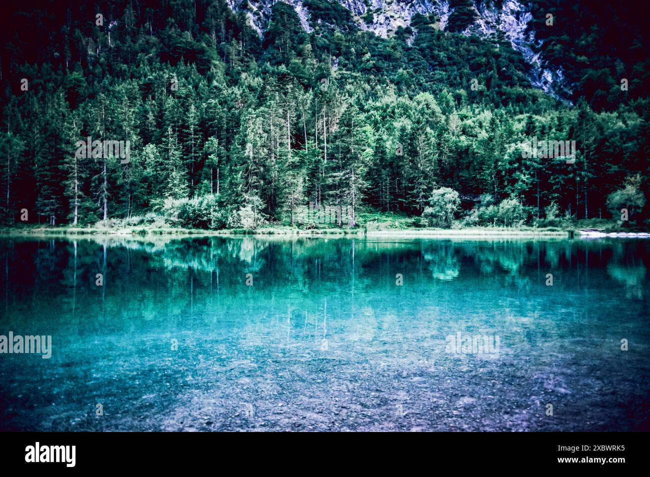 landscape, nature, fog, lake, trees, forest, mountain, thriller, crime ...