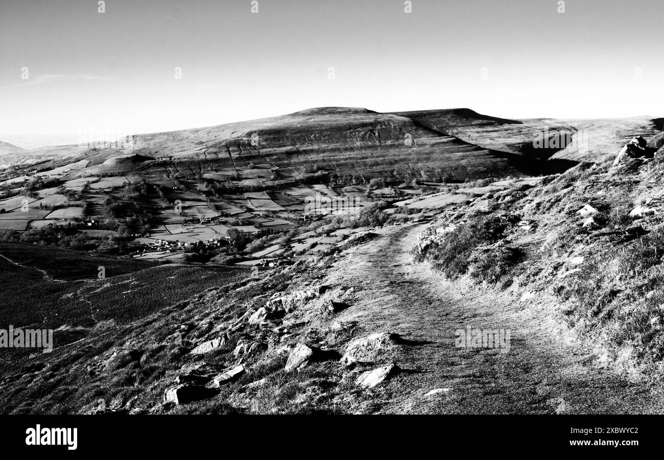 Black and white bracken hi-res stock photography and images - Alamy