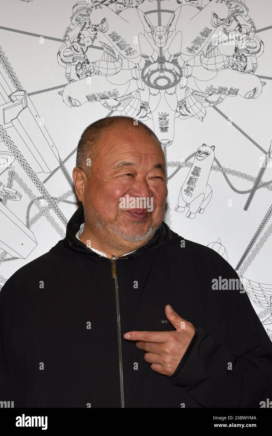 Ai Weiwei, Transcending Borders, 2024, Kaiservilla, Bad Ischl, Oberösterreich, Manfred Siebinger ...