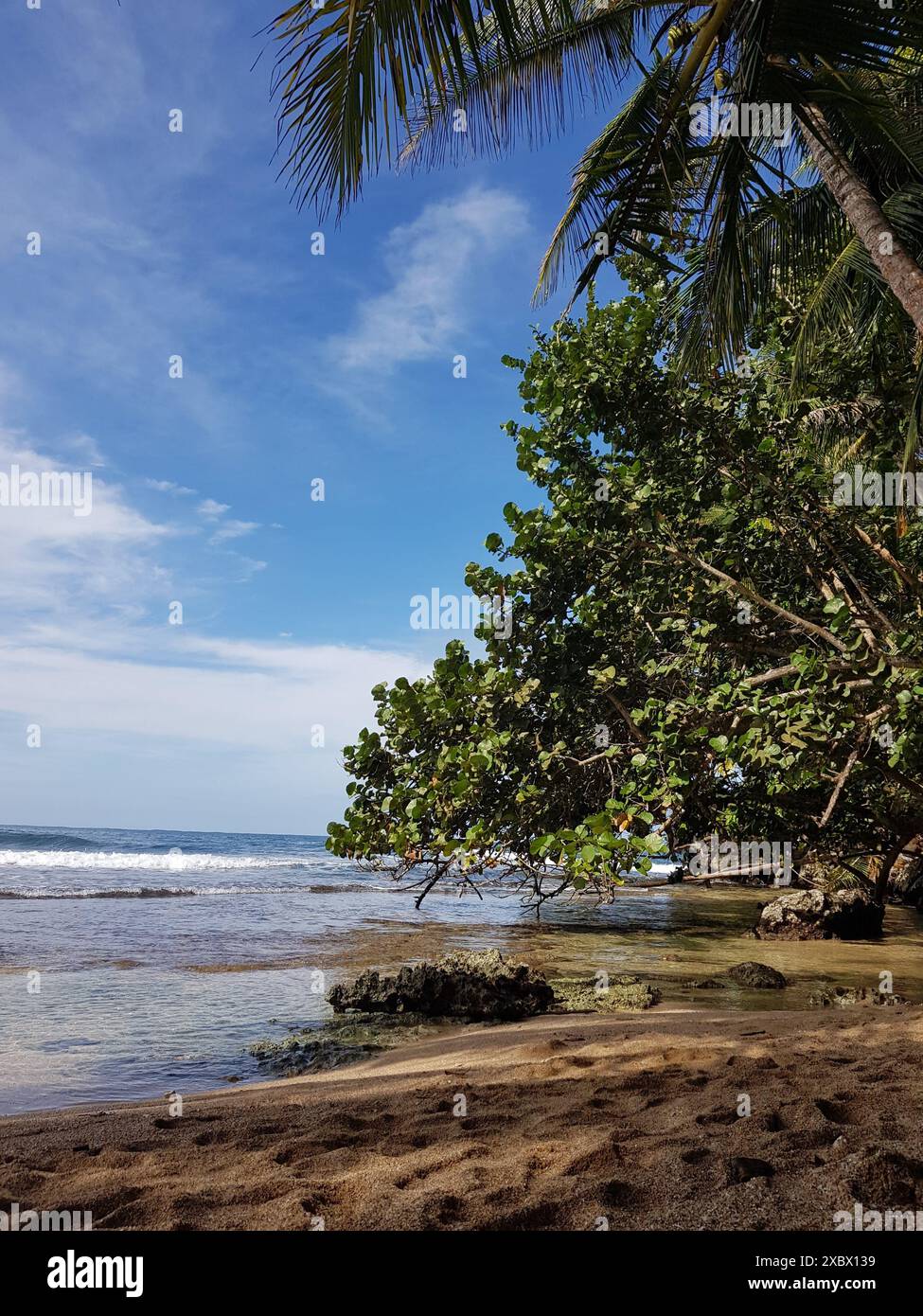 Manzanillo beach hi-res stock photography and images - Alamy