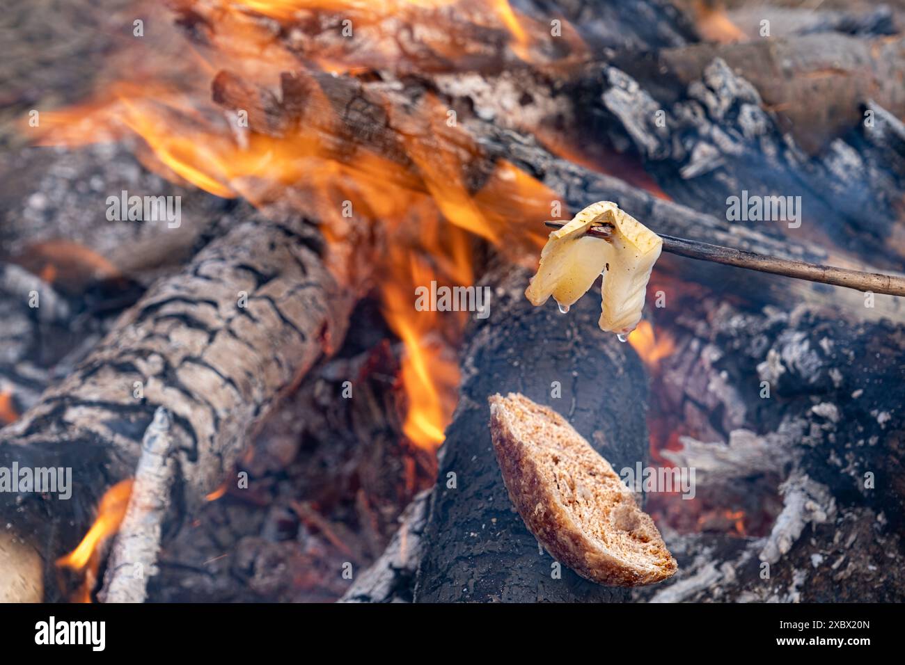 a slice of toasted bread with fried bacon an open fire in nature, slanina,traditional food in ...