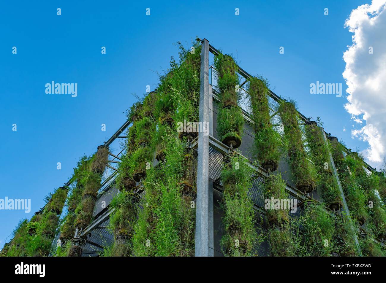 Modern green building climbing plant Eco friendly building, Concept ...