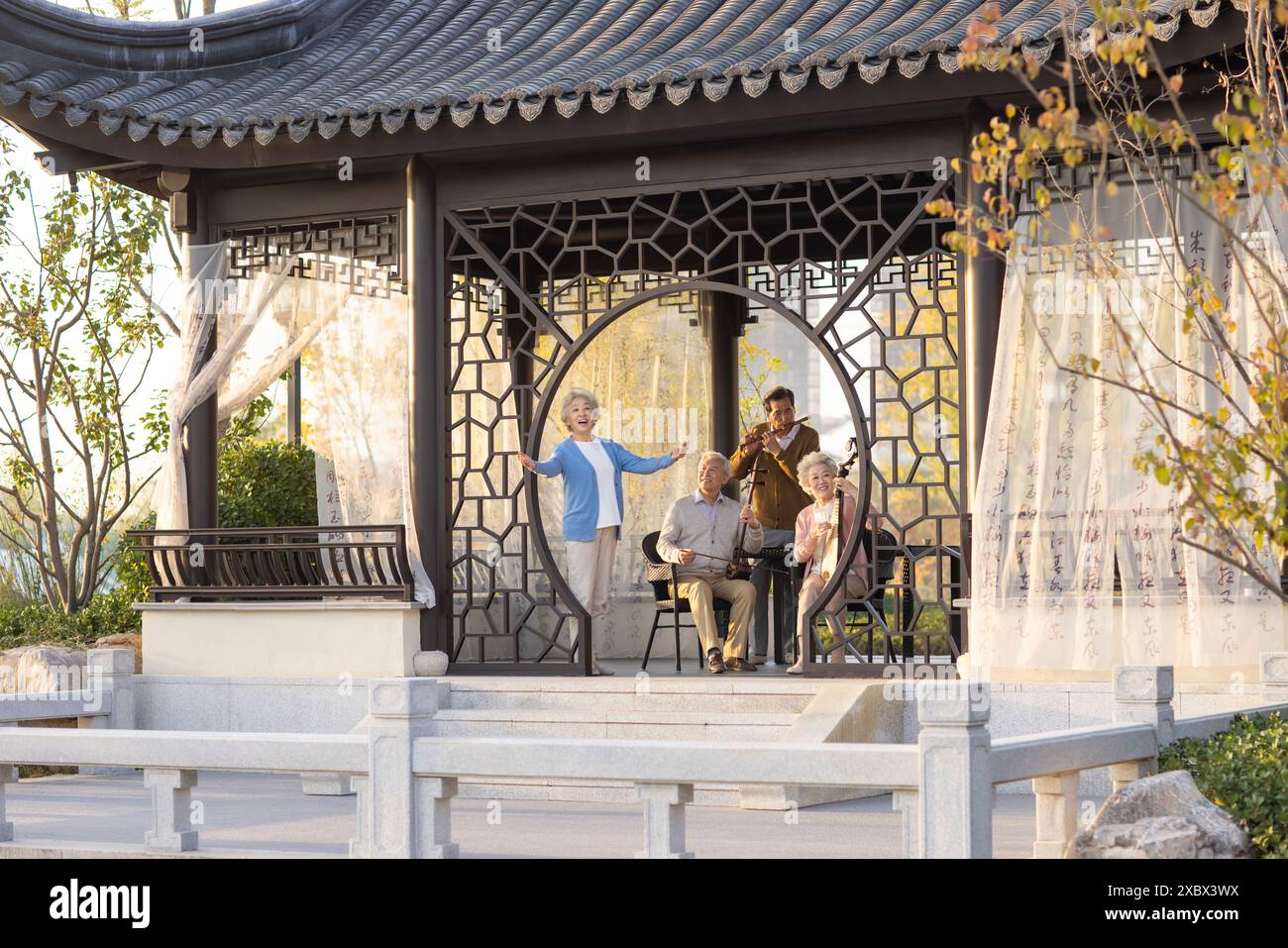 Group of Senior People Playing Musical Instruments and Singing Stock ...