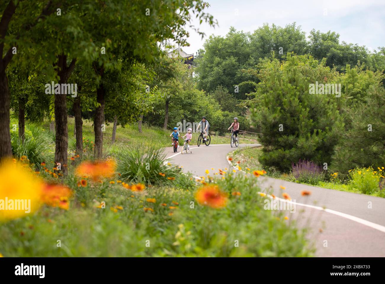 Chinese Family Riding Bicycles In A Park Stock Photo - Alamy