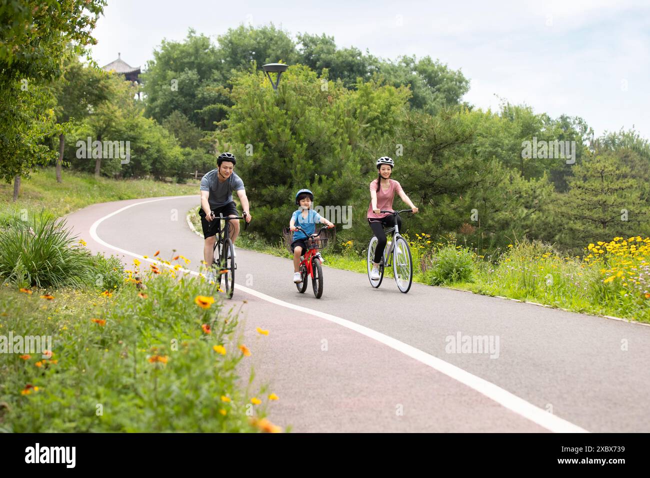 Family Riding Bicycles In Park Stock Photo - Alamy