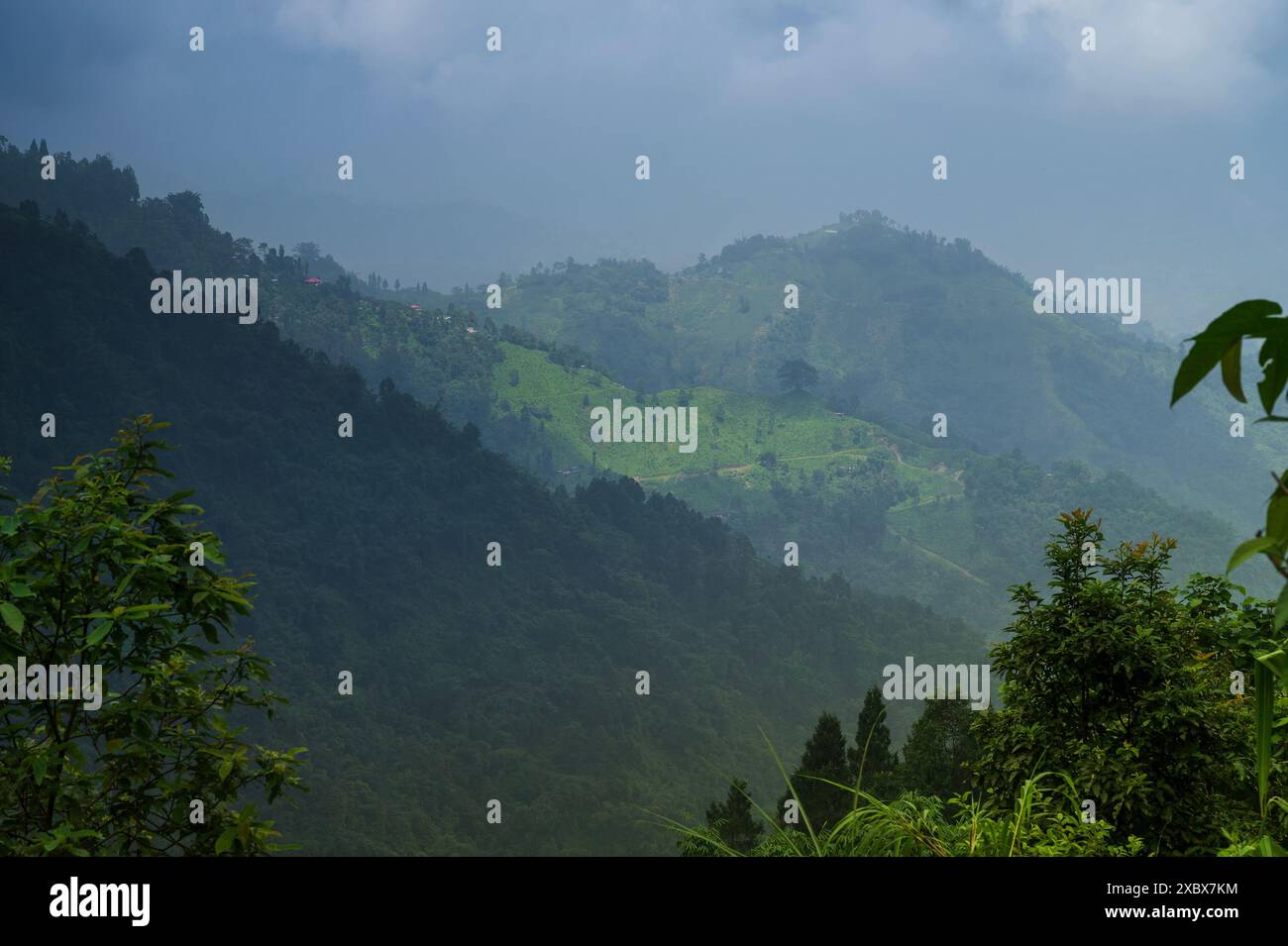 Himalayan mountains and lush green forest. Scenic natural beauty of ...