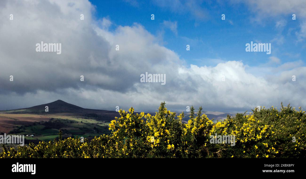Sugar Loaf, Mynydd Pen-y-fal, is on the southern edge of the Black ...