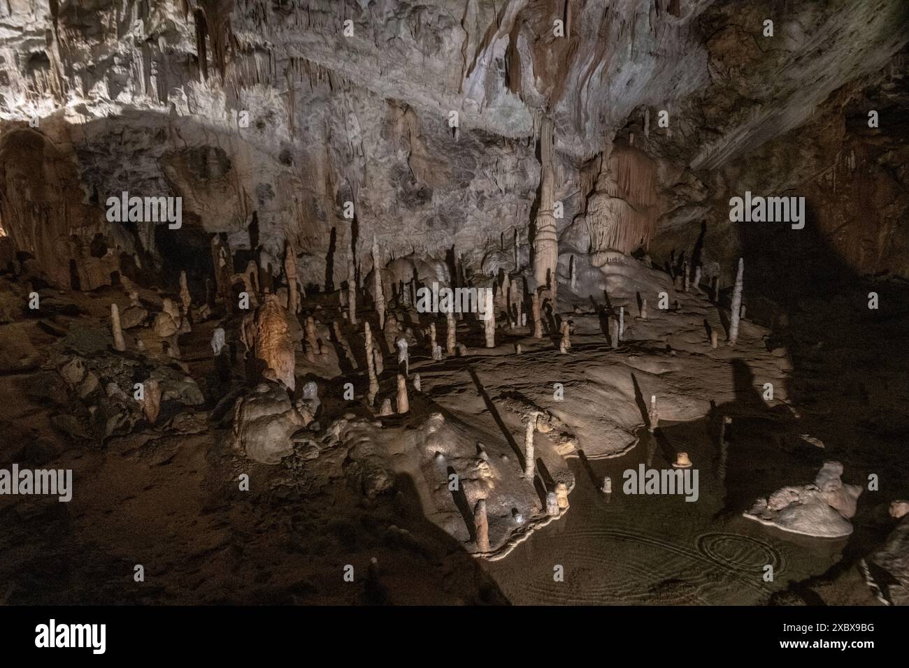 Postojna Cave (Postojnska Jama). Interior of the caves. Slovenia Stock ...