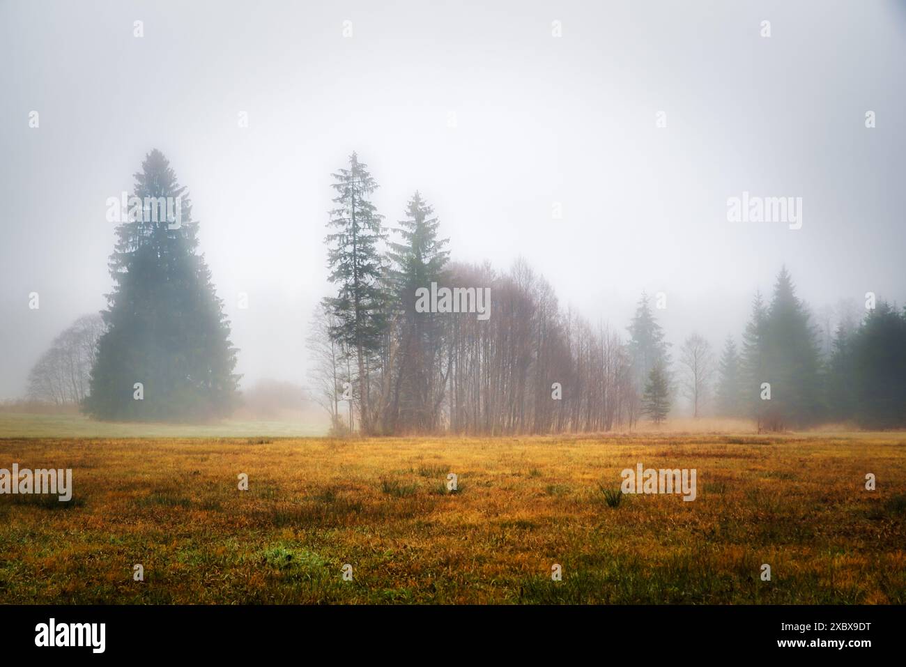 Moor landscape river sun hi-res stock photography and images - Alamy