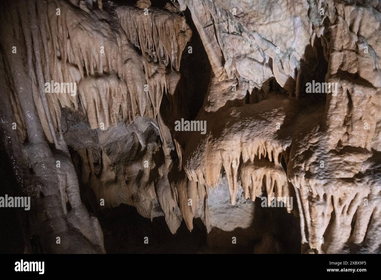Postojna Cave (Postojnska Jama). Interior of the caves. Slovenia Stock ...