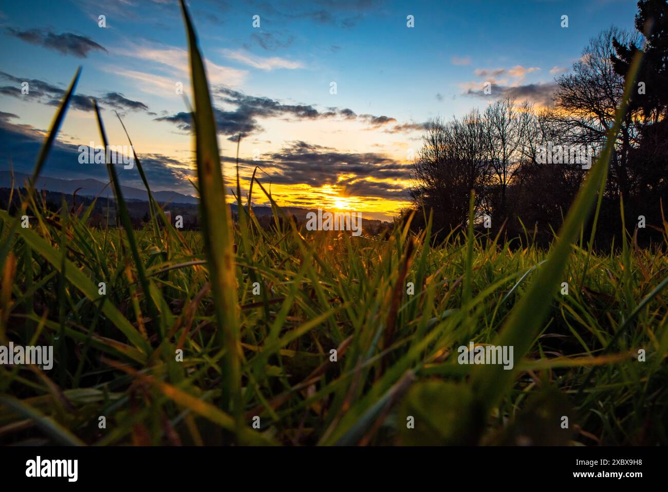 sunset, landscape, bavaria, field, trees, autumn mood, colors ...