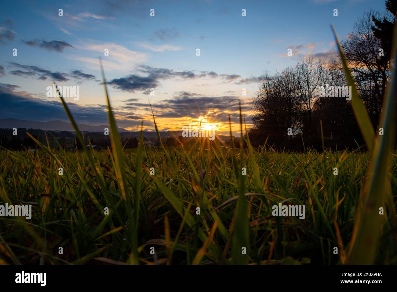 sunset, landscape, bavaria, field, trees, autumn mood, colors ...