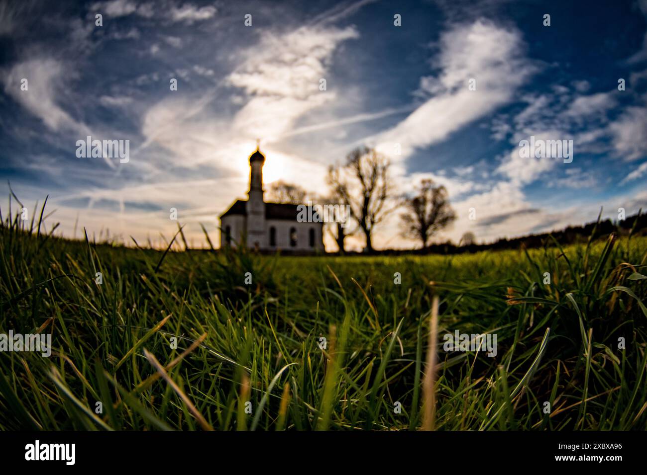 Meadow background images hi-res stock photography and images - Alamy